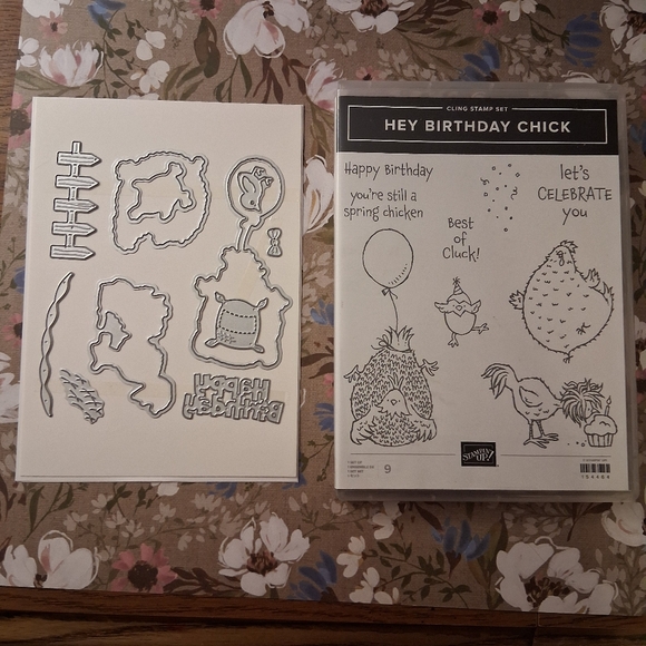 Stampin' Up! | Art | Stampin Up Hey Birthday Chick Stamp Set With Dies ...